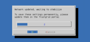 Trustgrid Local Console Utility